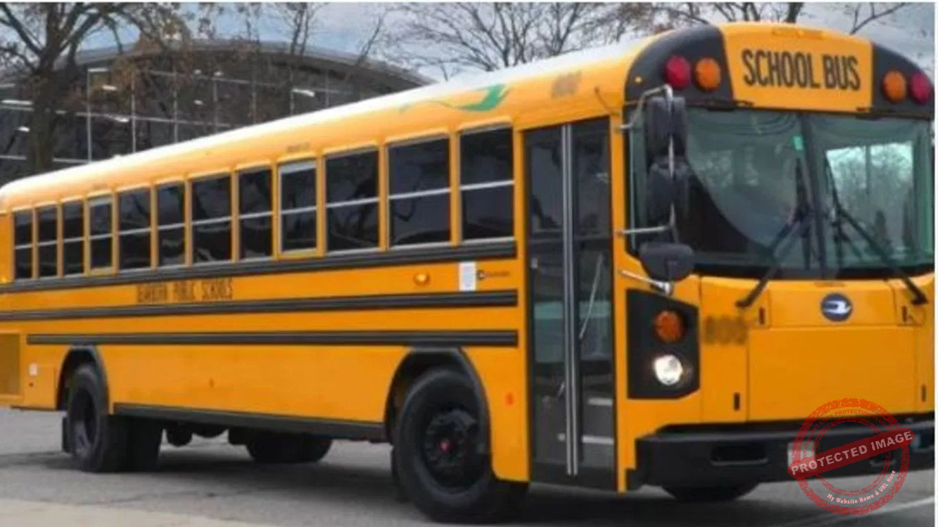 Why Are School Buses Yellow? The Science Behind the Colour Choice ...